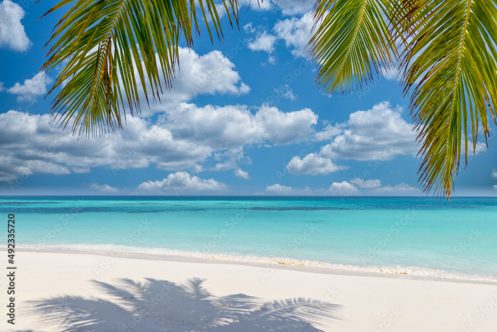 Nature Summer Beach