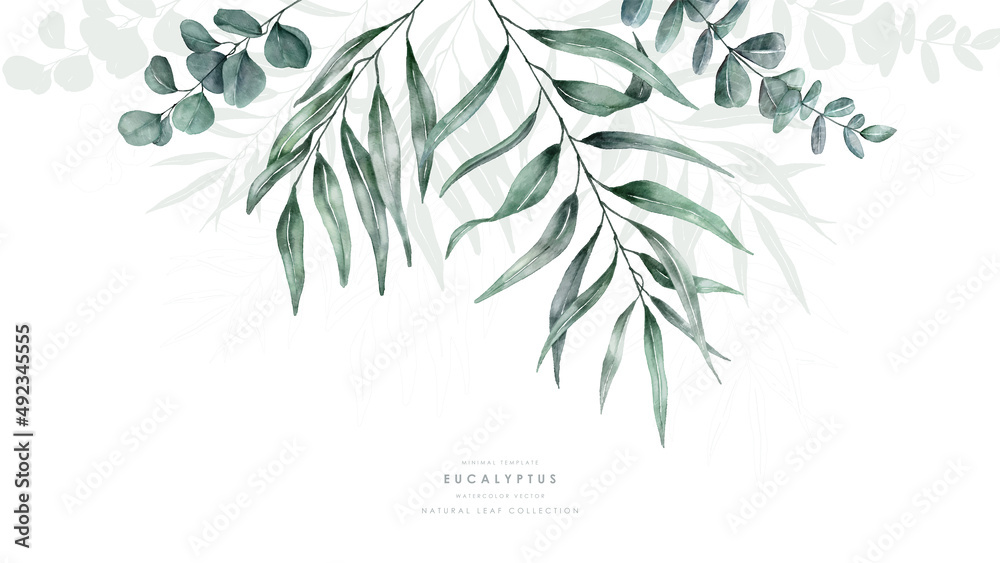 Watercolor eucalyptus background template on top vector design Stock ...