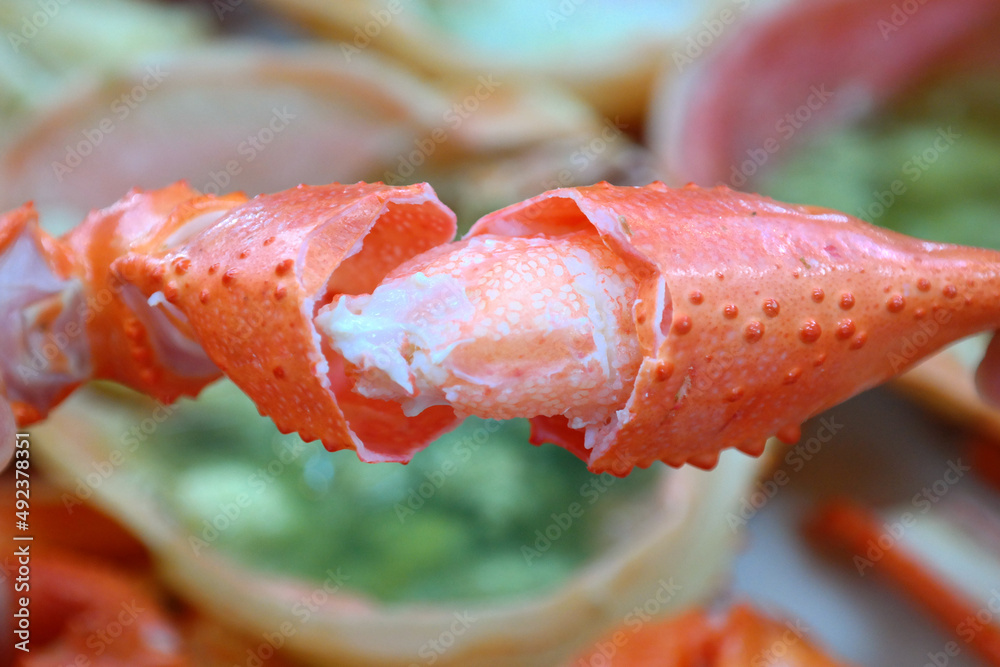 Steamed red snow crab splits the legs in half and eats the flesh. Stock ...
