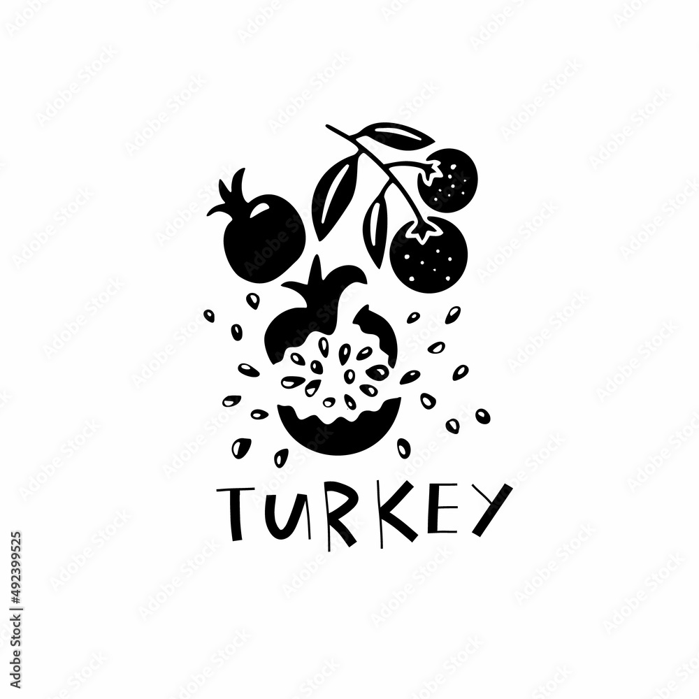 Vector hand drawn symbol of Turkey. Travel illustration of Republic of ...