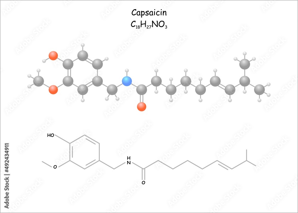 Stylized molecule model/structural formula of capsaicine, an active ...