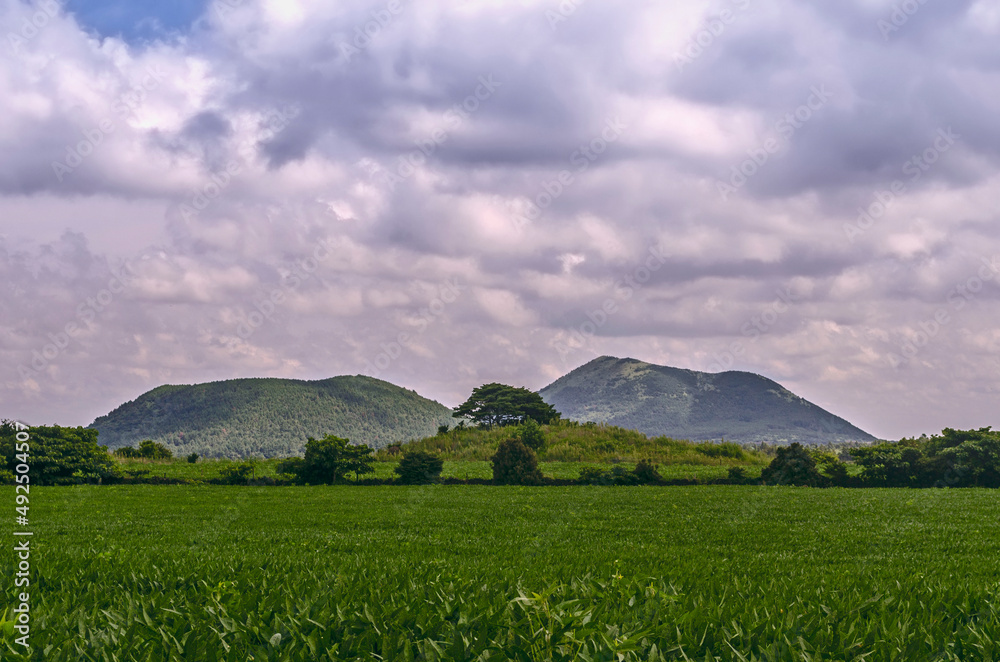 자연 풍경 그 이름 오름 Stock Photo | Adobe Stock