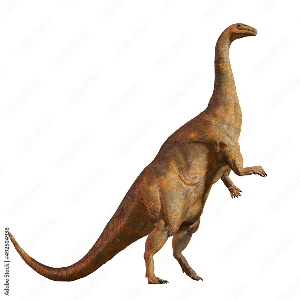 Plateosaurus, dinosaur from the Late Triassic period isolated on white ...
