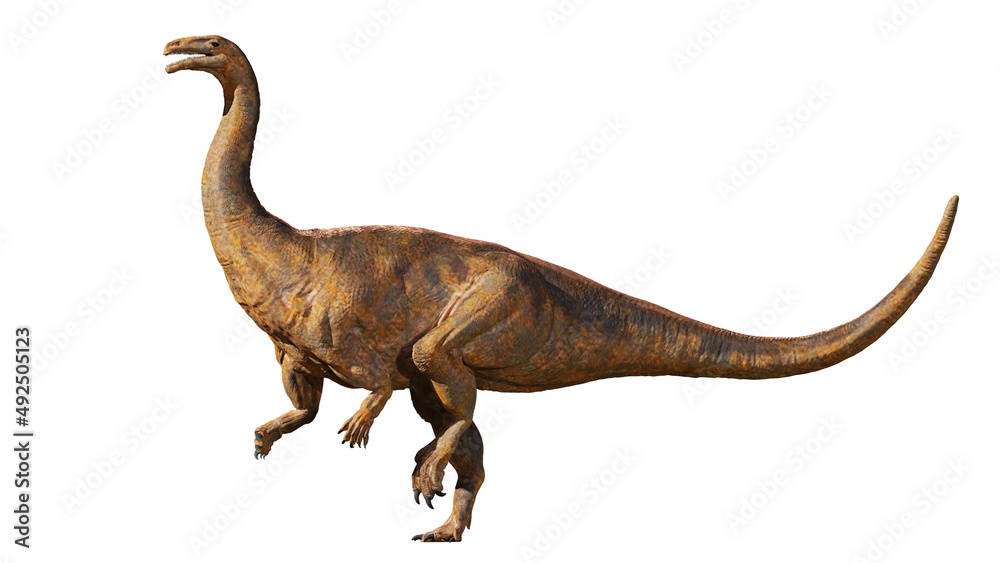 Plateosaurus, dinosaur from the Late Triassic period isolated on white background Stock ...