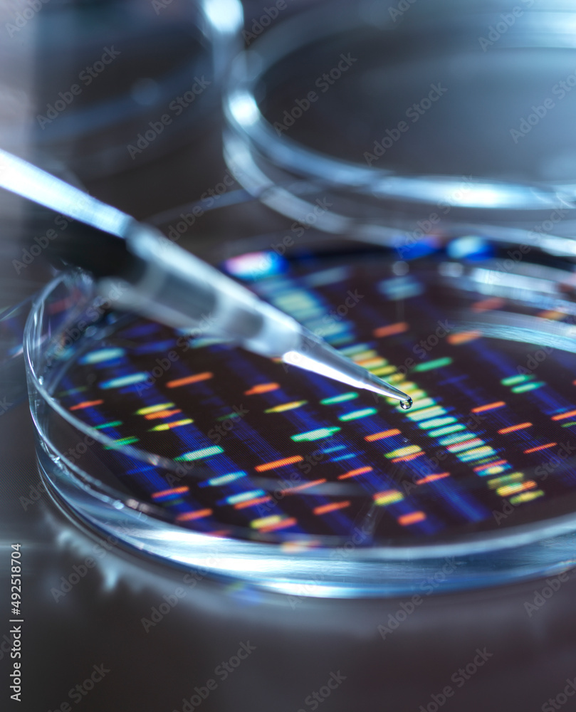 Pipetting sample into tray for DNA testing with result in background ...