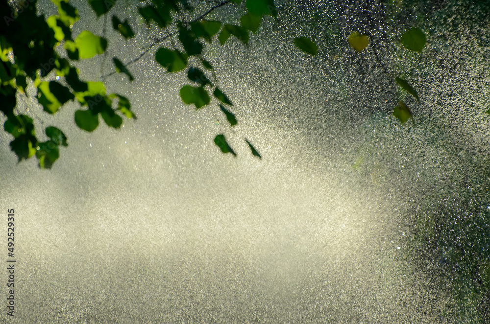 Heavy Rainfall Wallpaper