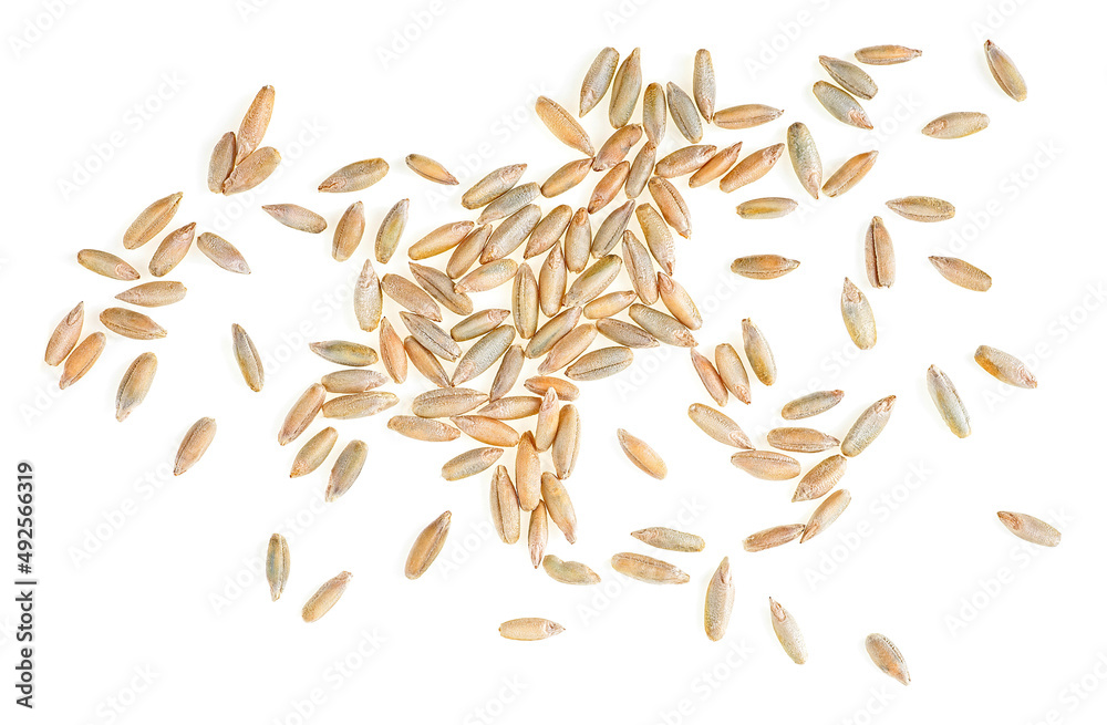 Pile of rye seeds isolated on a white background, top view. Heap of ...