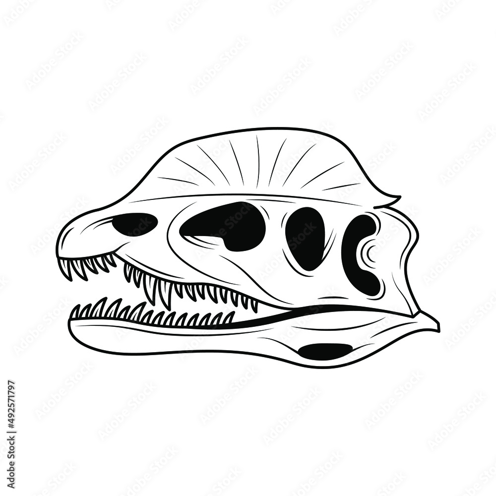 Abstract Black Simple Line Dinosaur Dilophosaurus Skull With Teeth ...