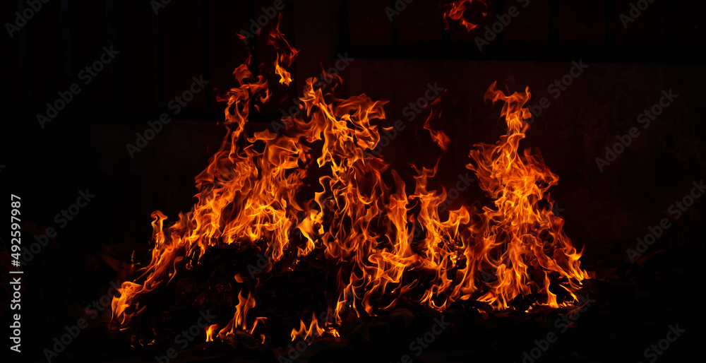 Panorama Fire flames on black background.global warming concept ...
