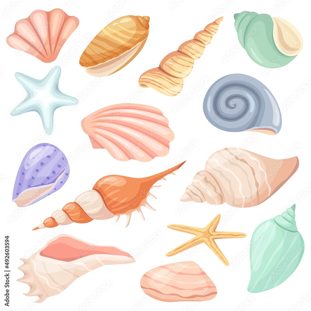 Cartoon seashells and starfish, tropical ocean seashell. Snail, oyster ...