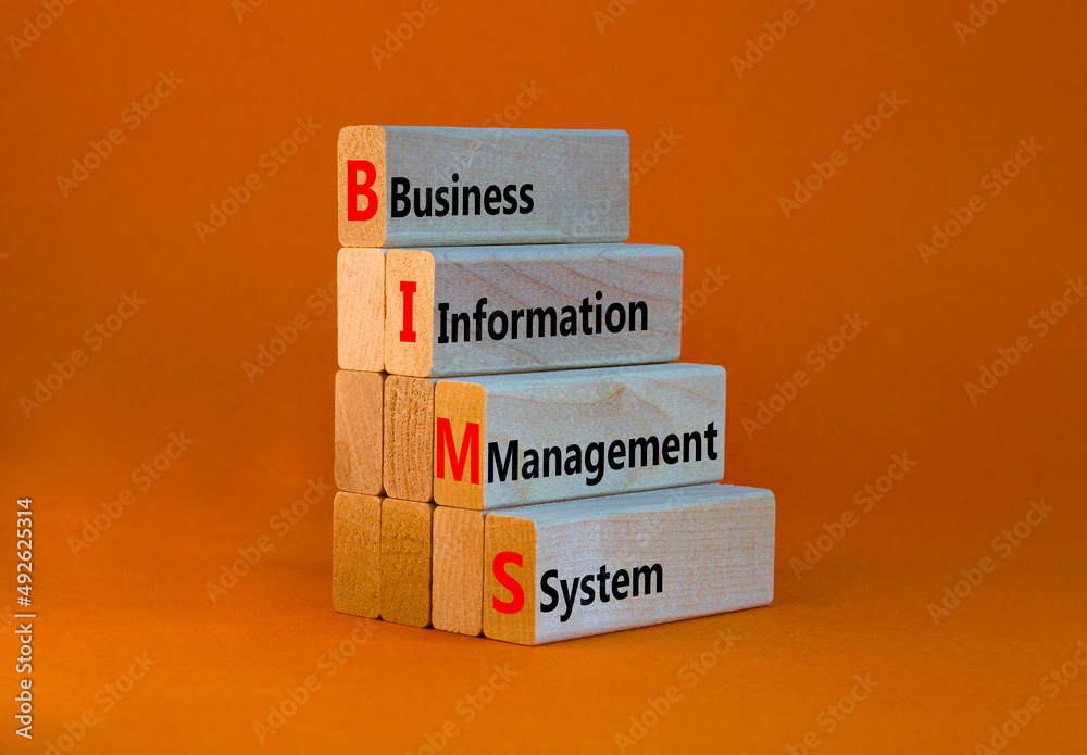 BIMS, Business information management system symbol. Concept words BIMS ...