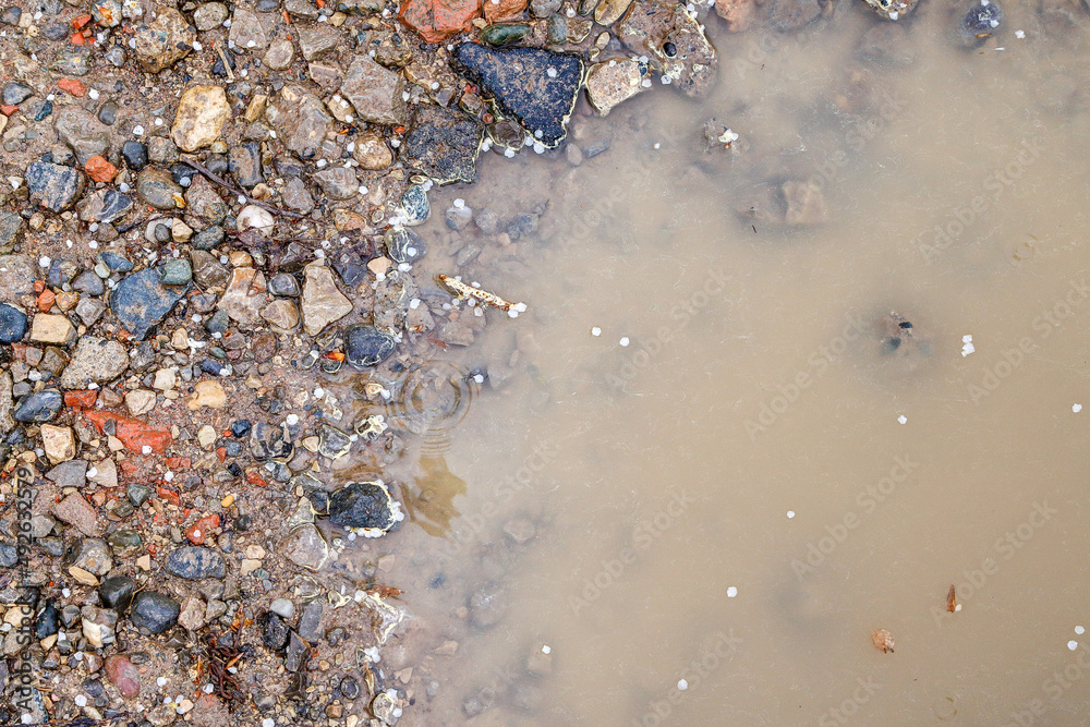 Rain puddle framed by stones. Still waters don't always have to be deep ...