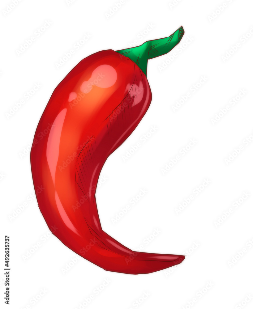Red chili peppers in a stylized format Stock Illustration | Adobe Stock