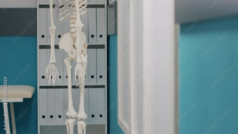 Human skeleton with bones and spinal cord in osteopathy office, to ...