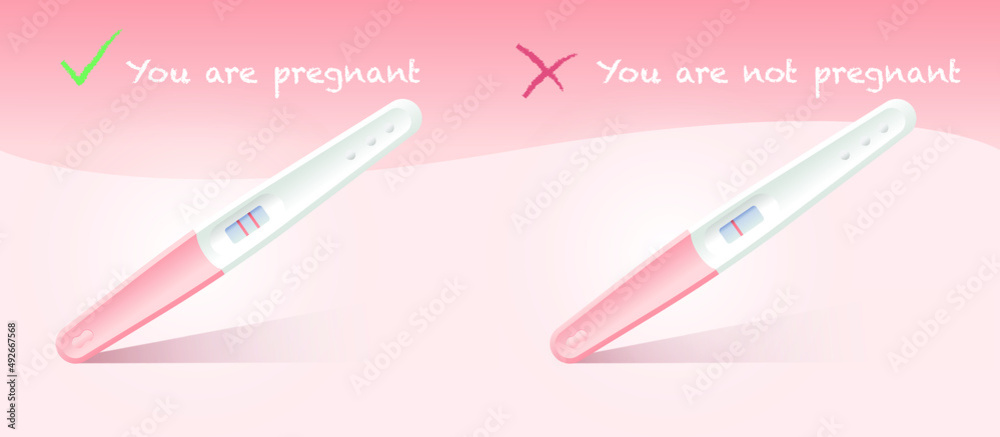 vectorized illustration of a pregnancy test Stock Vector | Adobe Stock