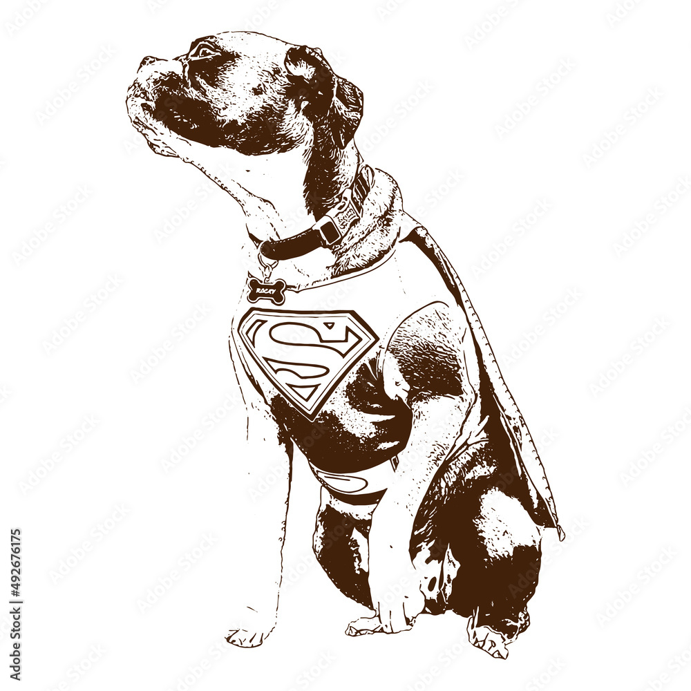 super dog Vector drawing illustration black and white engrave isolated ...