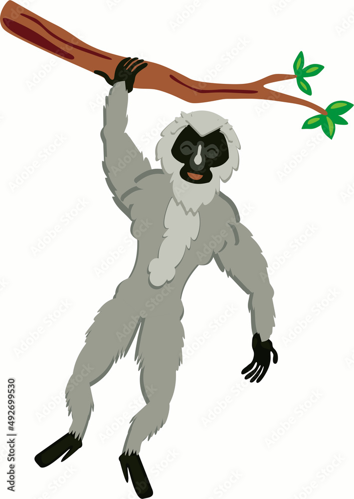 Owa Jawa is Animals are almost extinct. This animal is rare species in ...