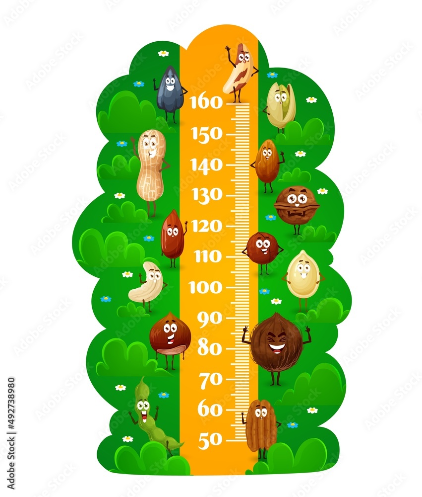 Cartoon happy nuts characters, kids height chart or growth meter. Child ...