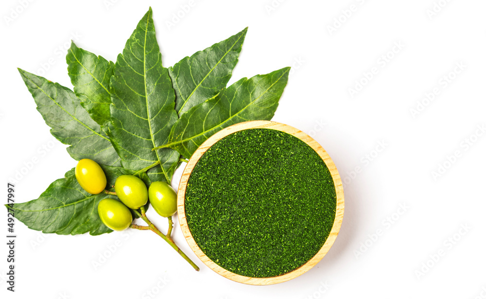 Finely ground neem in a wooden cup, neem fruit and leaves, Thai herbs ...