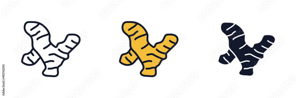 ginger icon symbol template for graphic and web design collection logo ...