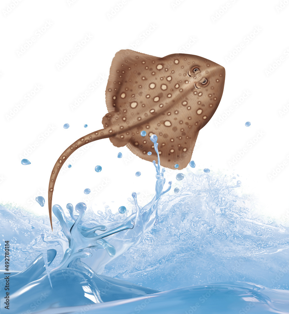 Stockillustratie poisson ,rai, animal, isolé, bulle, congelé, sauter ...