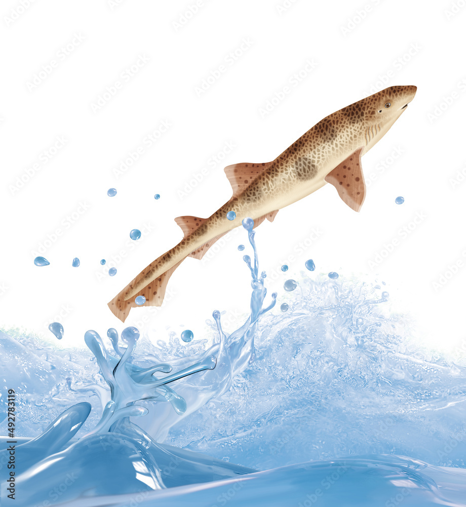 poisson, grande roussette , animal, isolé, bulle, congelé, sauter ...