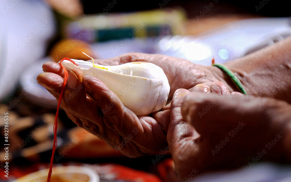 hand holding conch shell (shankh) during worship Stock Photo | Adobe Stock