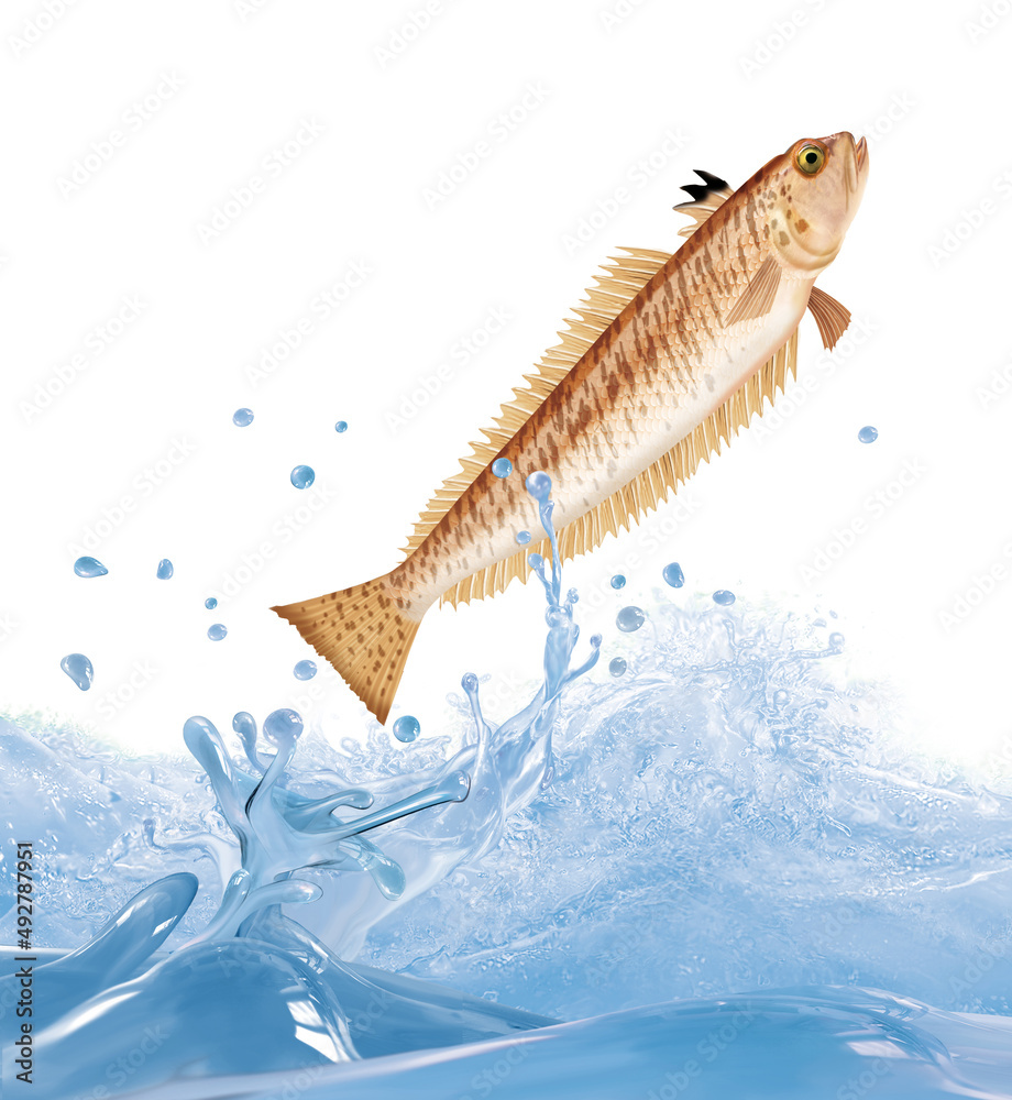 poisson, vive , animal, isolé, bulle, congelé, sauter, frais, glacé ...