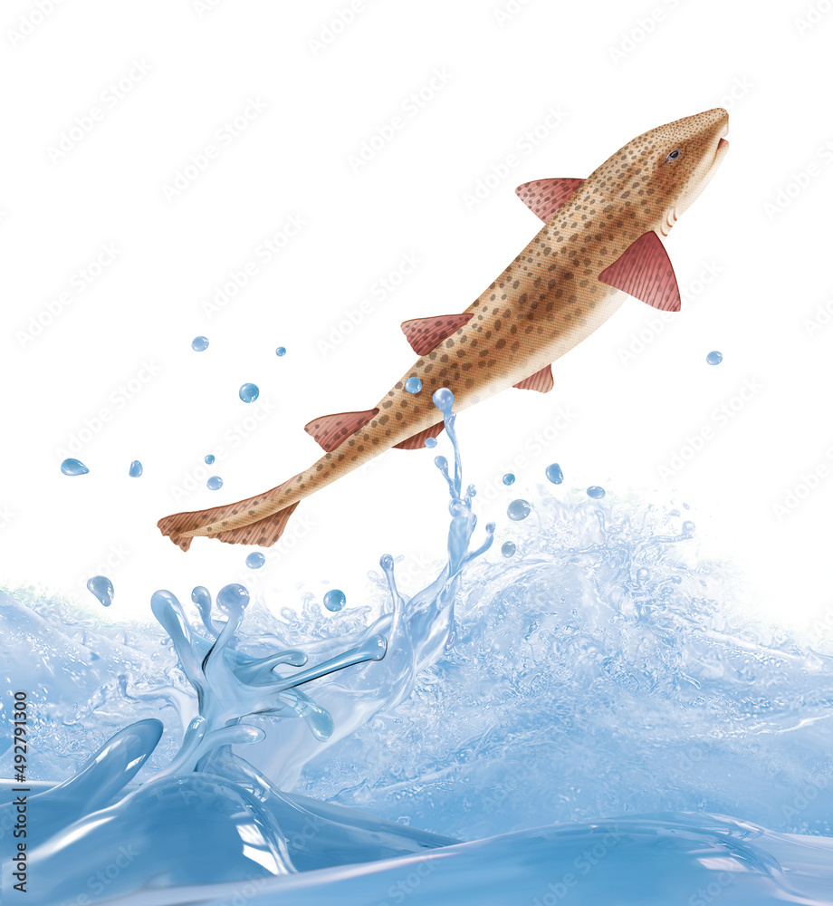 poisson, roussette, animal, isolé, bulle, congelé, sauter, frais, glacé ...