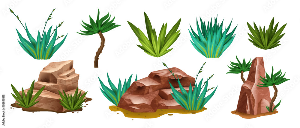 Desert rock set, vector canyon stone kit, cactus, succulent, agave ...