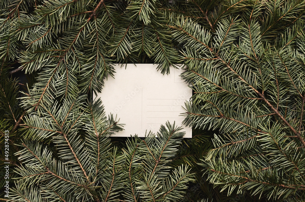 Top view of green spruce branches with empty white greeting postcard ...