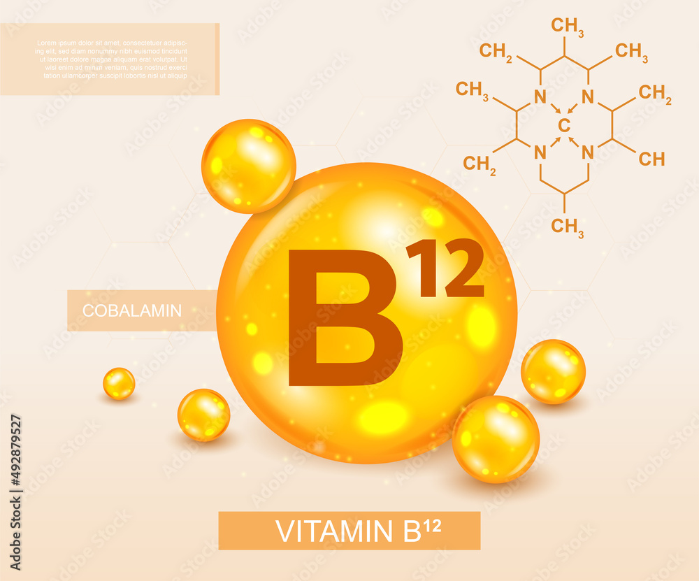 Vitamin B12 concept. Healthy fats that easily absorbed by body. Optimal ...
