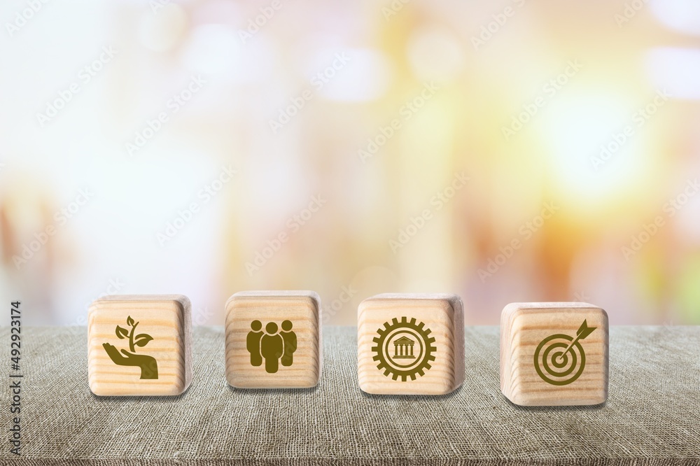 Wooden cubes with target setting to ESG icon ESG concept of ...