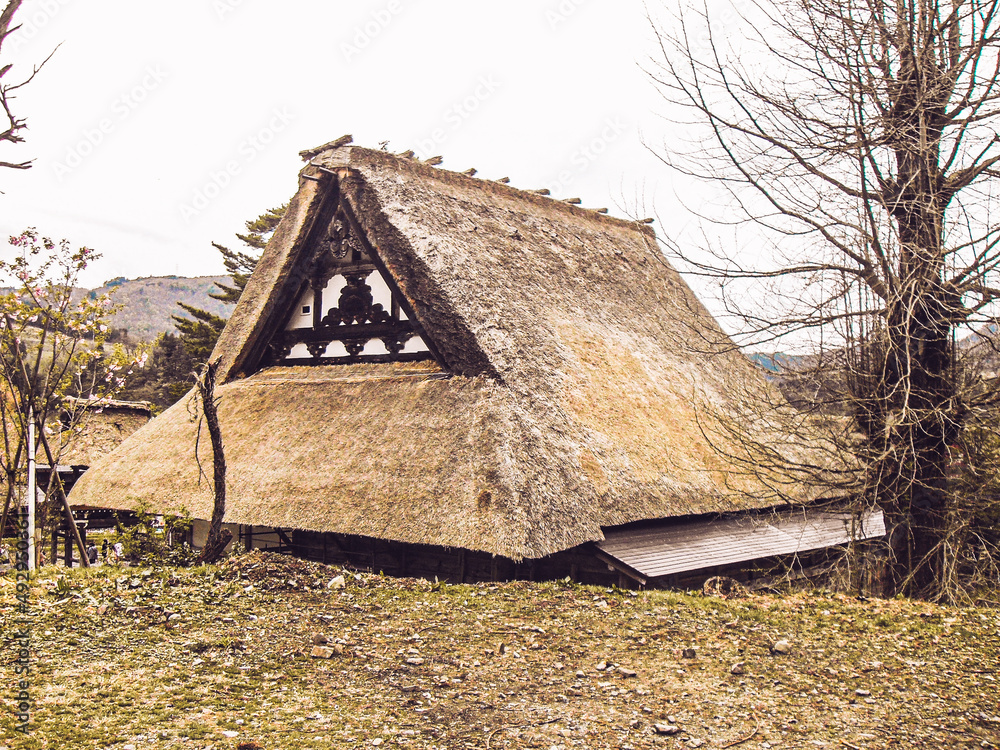 the beautiful scenery, the unique Japanese thatched-roof farmhouses ...
