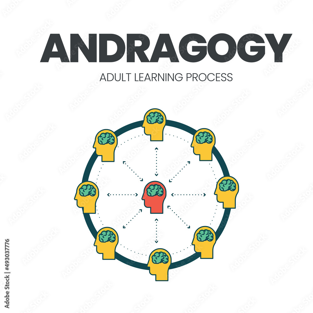 The vector illustration of the andragogy concept with an icon is a ...