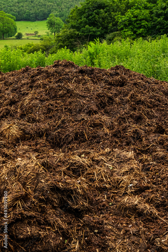 Pile of Manure Stock Photo | Adobe Stock