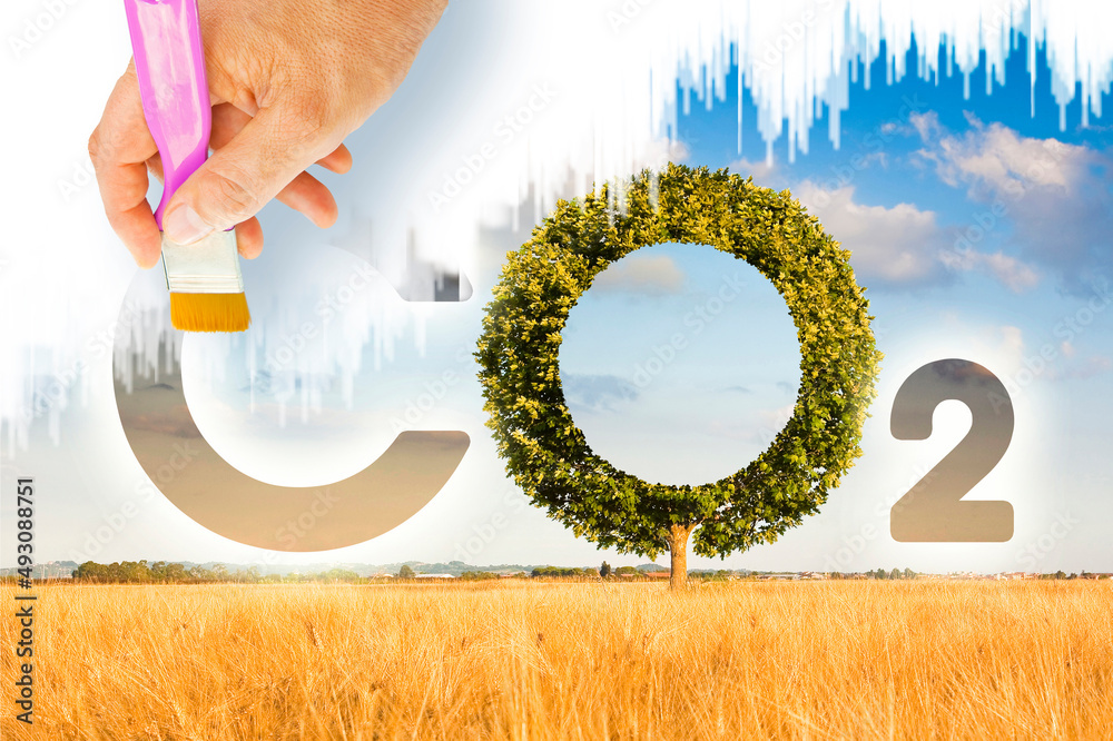 From carbon dioxide to oxygen - CO2 Net-Zero Emission - Carbon ...