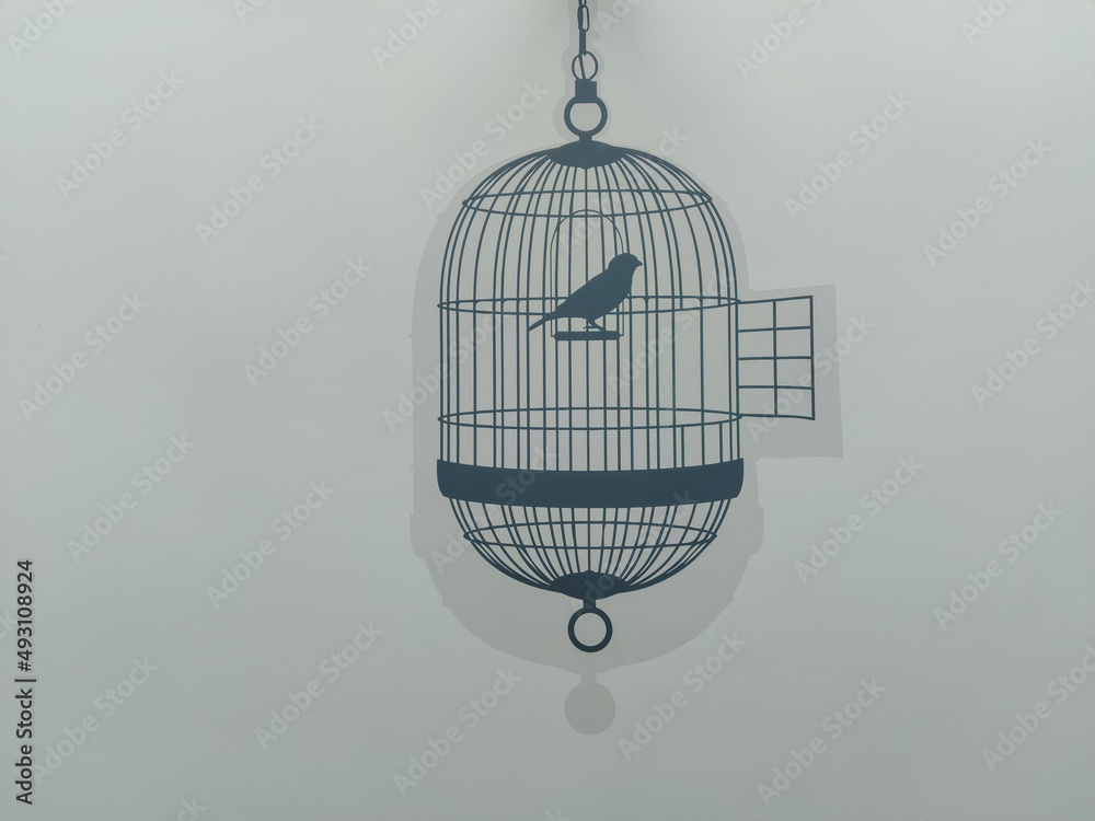 freedom minimal concept, bird in an open cage Stock Photo | Adobe Stock