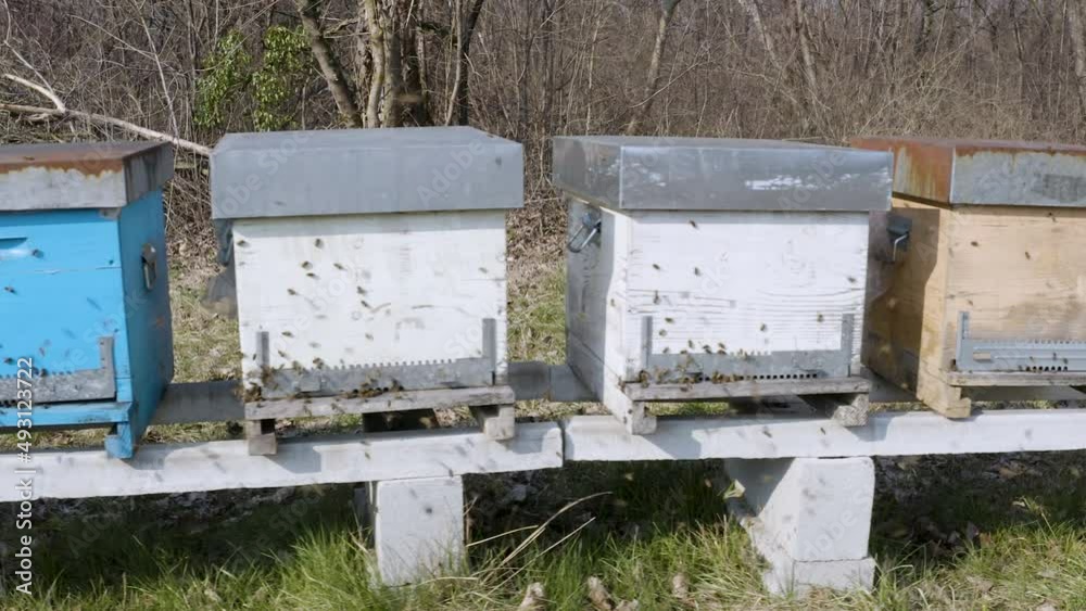 Circular shot of row of hives for bees colony in contryside, sunny ...