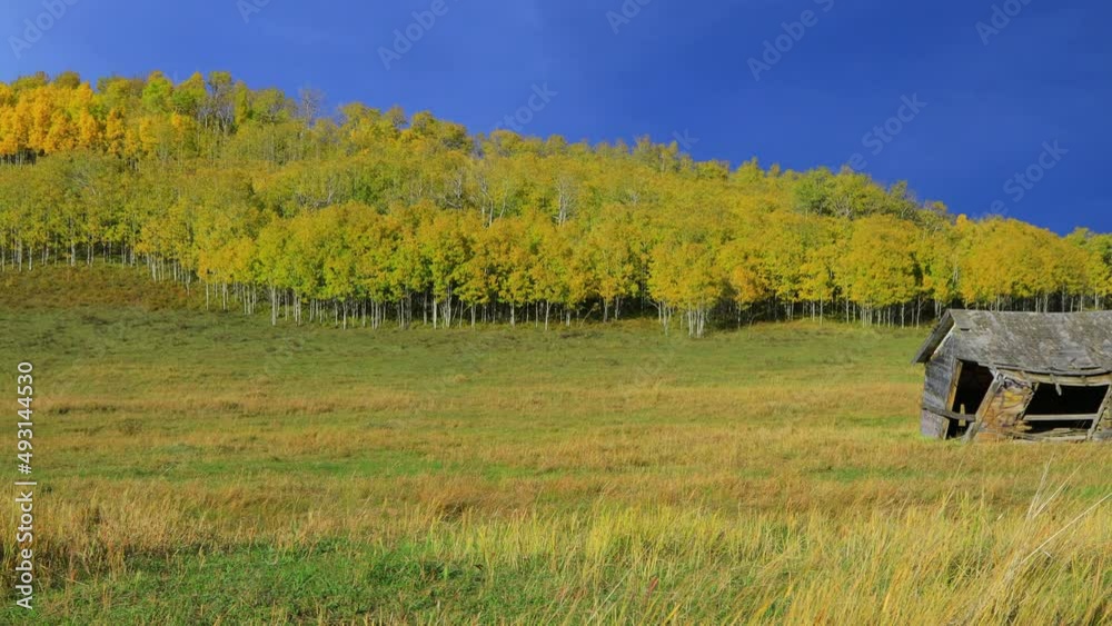 Canadian Prairie Landscape Cowboy Trail Alberta Autumn Stock Video ...