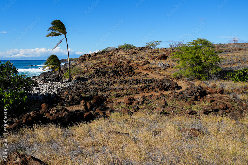 Ruins of traditional Hawaiian houses (Hale) in the ancient fishing ...