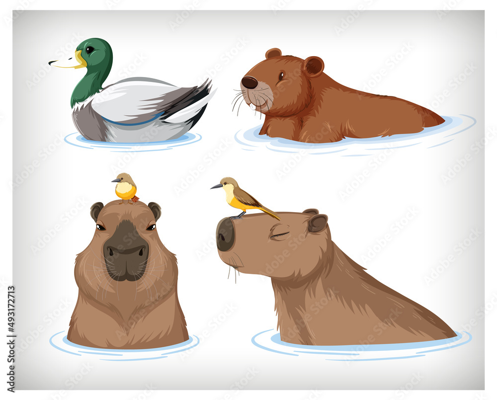 Photo & Art Print Set of different capybara in cartoon style, blueringmedia