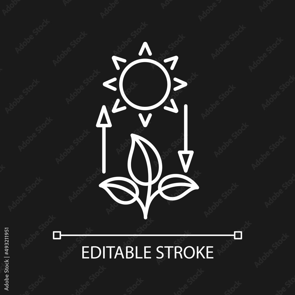 Photosynthesis white linear icon for dark theme. Light energy into ...
