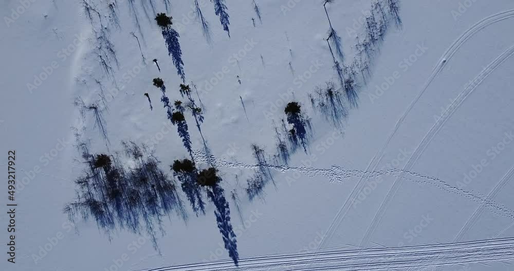Little island in winter covered with snow, around frozen lake. Flight ...