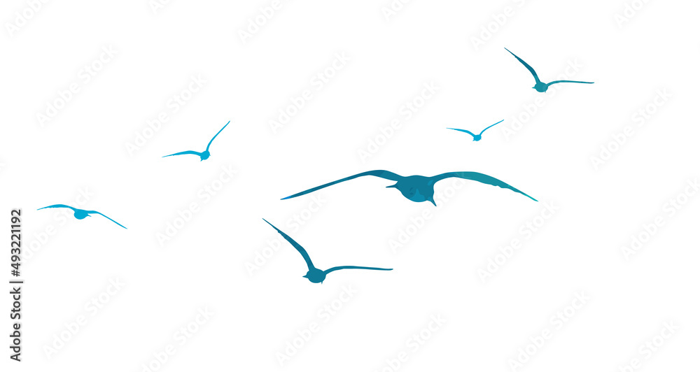 Blue flying seagulls. Vector illustration Stock Vector | Adobe Stock
