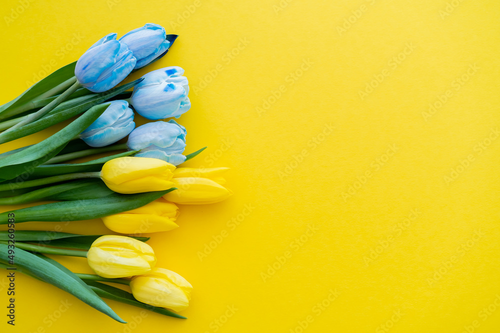 Yellow And Blue Tulip Bouquet