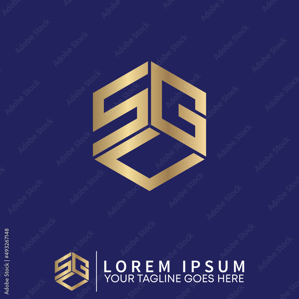 letter or word SGC in 3D hexagon line image graphic icon logo design ...