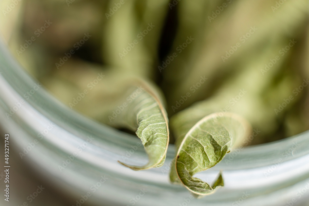 dried leaves of Aloysia citrodora, lemon verbena Stock Photo | Adobe Stock