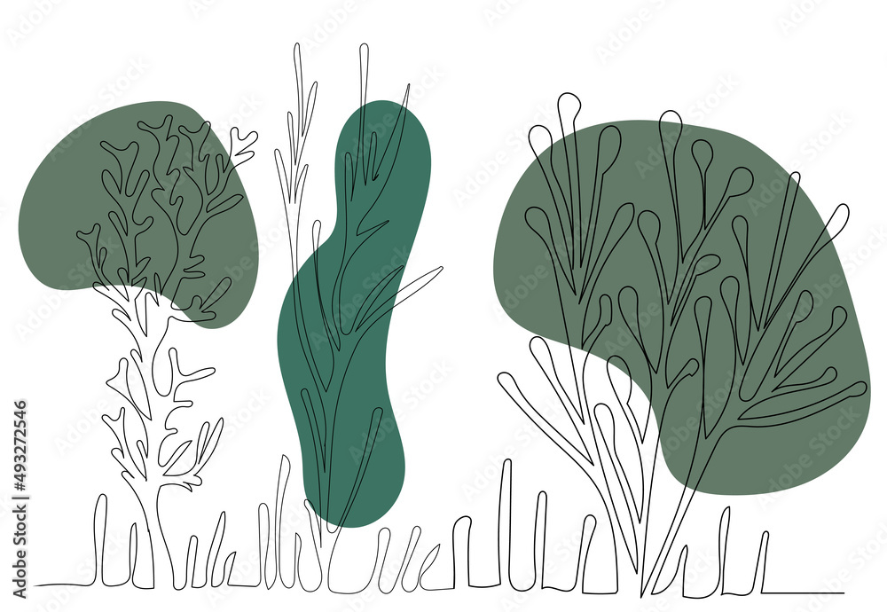 green algae one line drawing vector, isolated Stock Vector | Adobe Stock