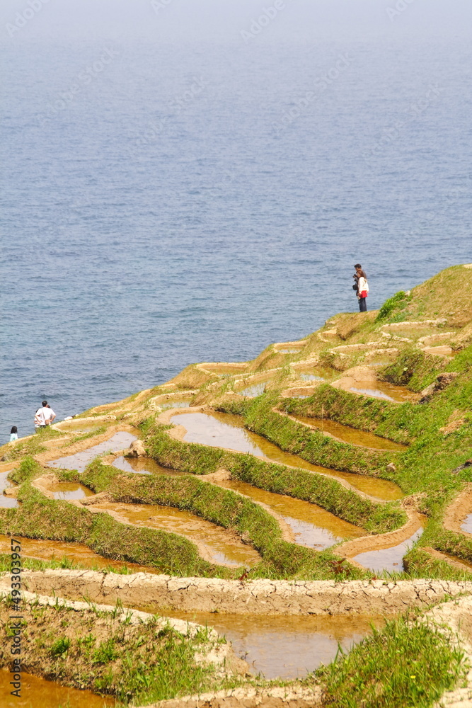 世界農業遺産 石川県輪島 白米千枚田 棚田 田植え風景 Globally Important Agricultural Heritage ...